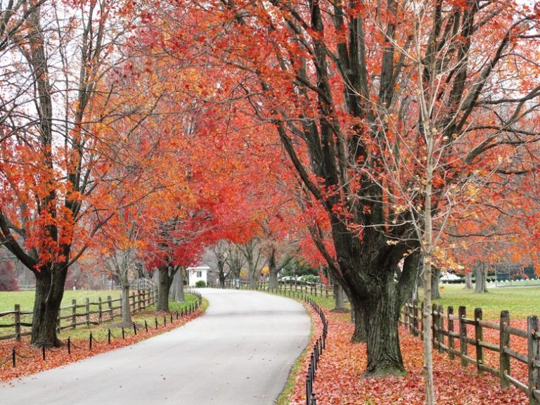 Most Beautiful Places to Visit in Maryland